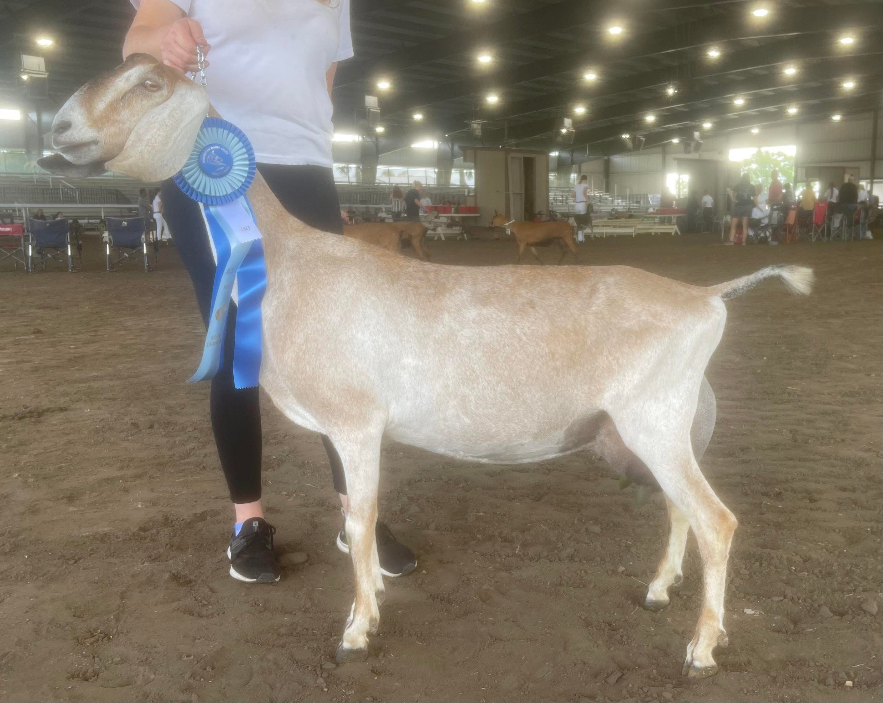 Doe Lake RR Cherry Latte – The Wicked Goat